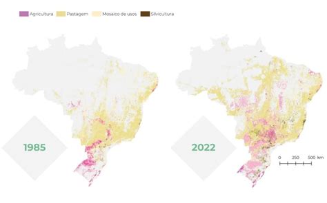 Amaz Nia Tem Mais Rea De Pastagem Do Que O Cerrado Aponta Mapbiomas