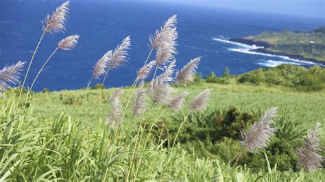 So authentisch Île de la Réunion Tourisme