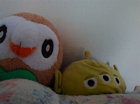 I Wish You Sweet Dreams