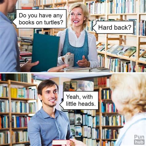 Hilarious Puns From Punhub Art Sheep
