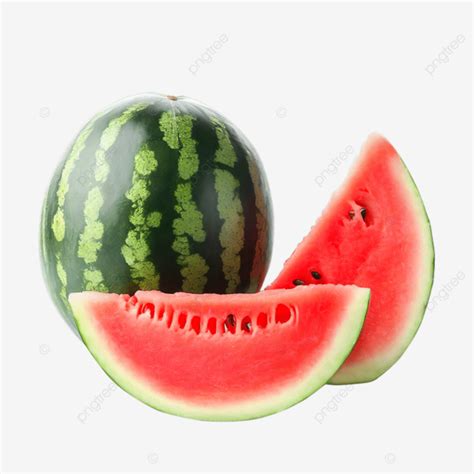 Isolated Watermelon On White Background Watermelon Fruit Cartoon