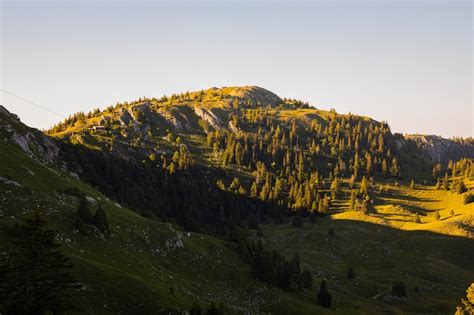 Mountains Greenery Trees Landscape Cliff Outdoors Forest Nature