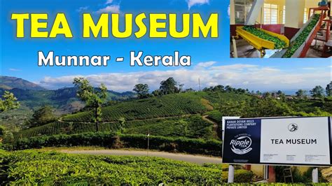 Tea Museum Munnar Top Tourist Place In Munnar Process Of Tea