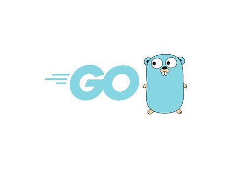 golang the only introduction you need better programming