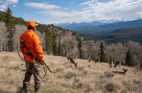 Ny State Hunting Seasons 2025 Kira Serena