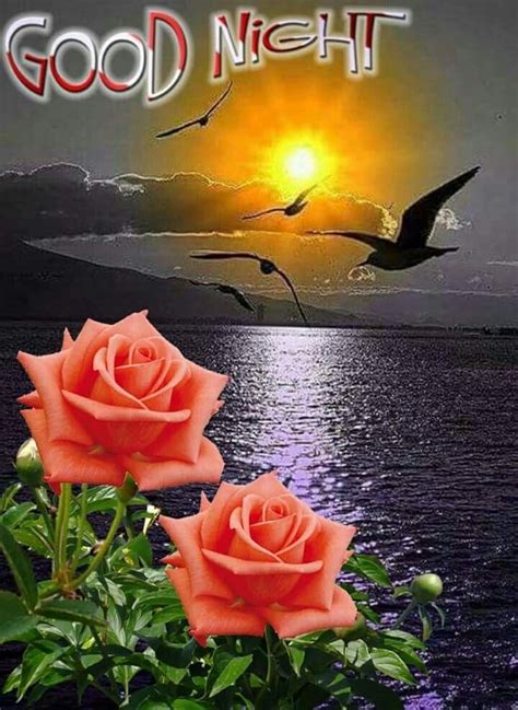 Pin By Heinrich Thoben On Gute Nacht Gruss Good Night Flowers Good