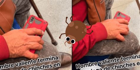 Plaga de chinches las hay en el Metro de la CDMX héroe las liquida