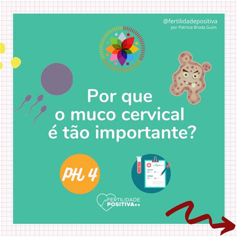 Muco Cervical Por que é importante para Fertilidade e Saúde
