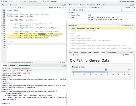 RStudio User Guide Debugging