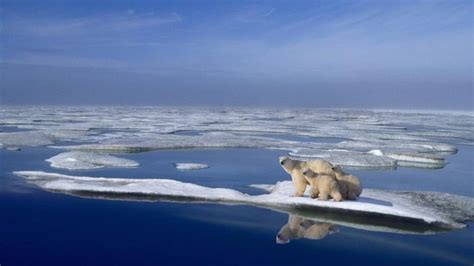 En el Ártico el casquete polar se ha reducido a la mitad en 40 años