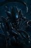 Yandere Female Xenomorphs X Futa Half Xenomorph Fem Reader Terms To