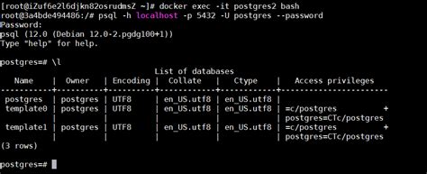 docker安装并持久化postgresql数据库 明矾 博客园