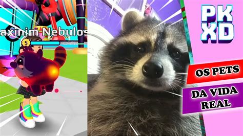 PETS DO PK XD NA VIDA REAL YouTube