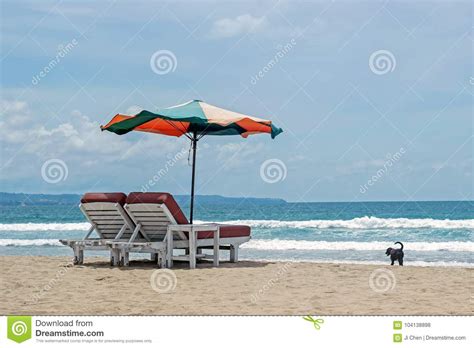 Cadeiras E Parasol Na Praia Oceano Azul Foto De Stock Imagem De