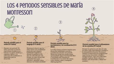 Los 4 periodos sensibles de María Montessori