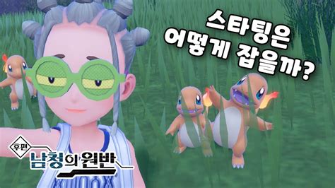 남청의 원반 스타팅 포켓몬 나오게 하는 방법 YouTube