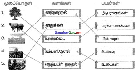 Samacheer Kalvi 3rd Science Guide Term 3 Chapter 1 நமத சறறசசழல