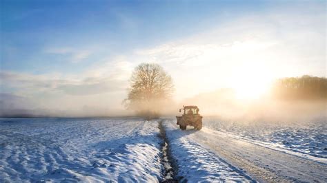 Ökologische Landwirtschaft in Zahlen BIO COMPANY SE
