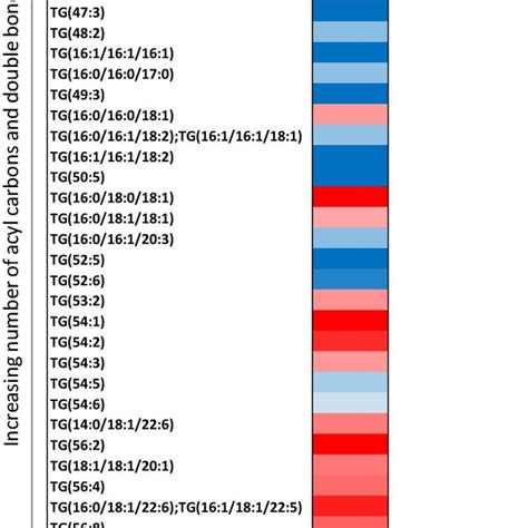 Heatmap Of Log Fold Changes Fc For Triacylglycerides Tg Identified