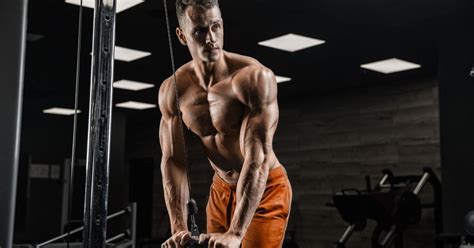Best Tricep Workout For Mass Bodybuilding EOUA Blog
