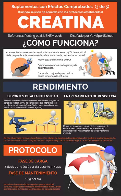 ET Infografías protocolo de utilización de creatina
