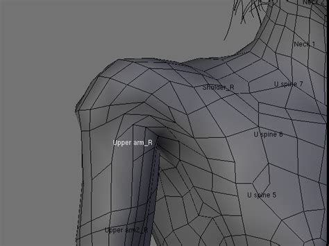 Shoulder Mesh Topology Modeling Blender Artists Community