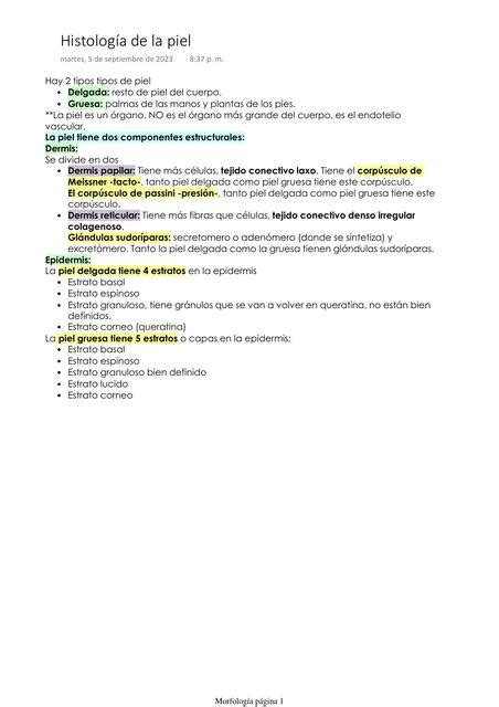 Histología de la piel Laura Parra uDocz