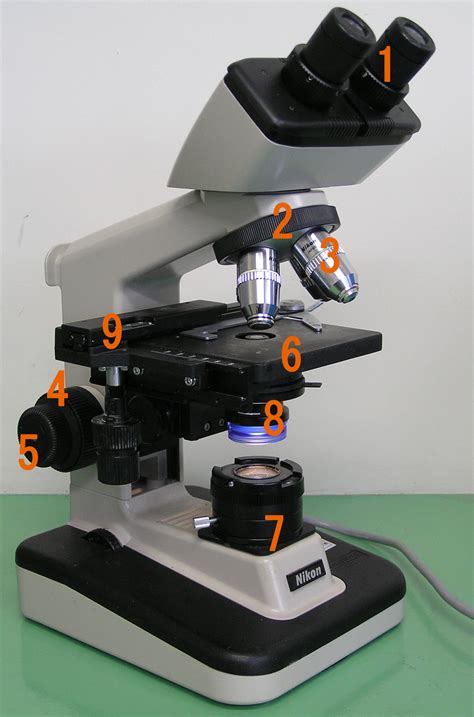 The Microscope And Cells Biology I Laboratory Manual Study Guides