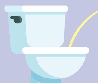 Clean Catch Midstream Urine Specimen Collection Instructions