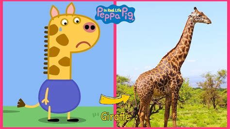 Cute Funny Peppa Pig Characters In Real Life 2023 All Characters 2023