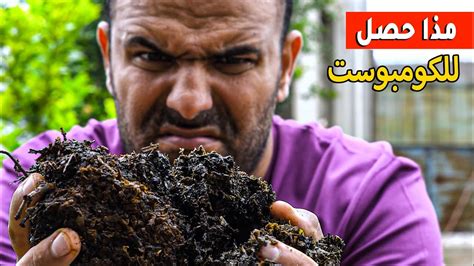 زراعة اول شجرة في الحديقةنتيجة تجربة حاوية الكومبوست YouTube