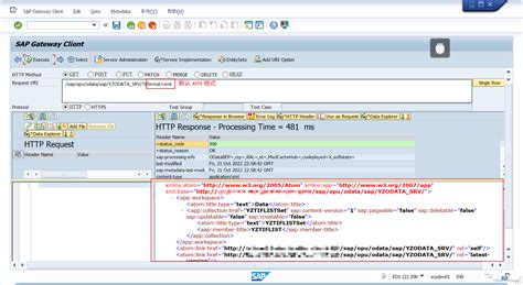 Sap Abap Sap Odata Ddicrfccds Abap Odata Csdn