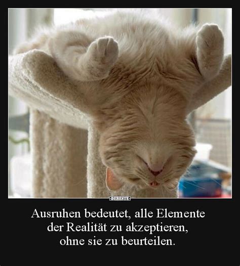 52 Lustige Sprüche Bis Freitag Debeste De heute ess ich mal kein
