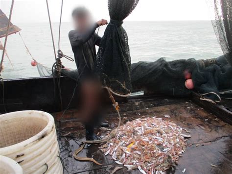 MENANGKAP IKAN DI ZON LARANGAN NELAYAN TEMPATAN KELAS C DITAHAN