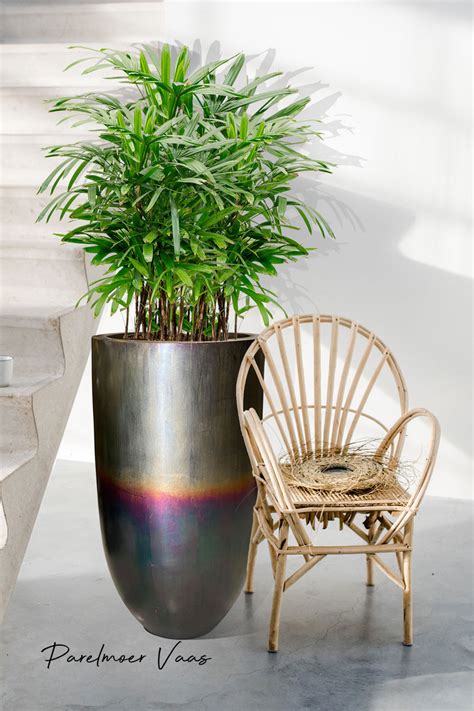 Grote Xl Design Goud Bloempot Gouden Plantenbak Plantenpot Metaal