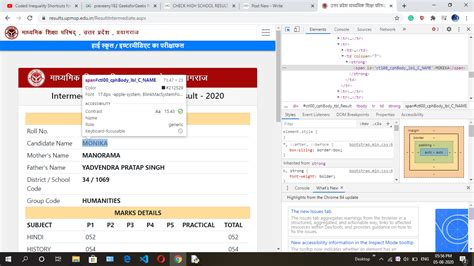 在 python 中使用 selenium 检查第 12 类结果 码农参考