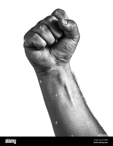Male Clenched Fist Isolated On A White Background Stock Photo Alamy