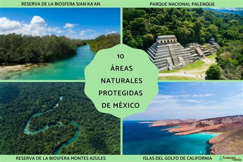 Descubre los mejores destinos naturales en México Vive la magia de la