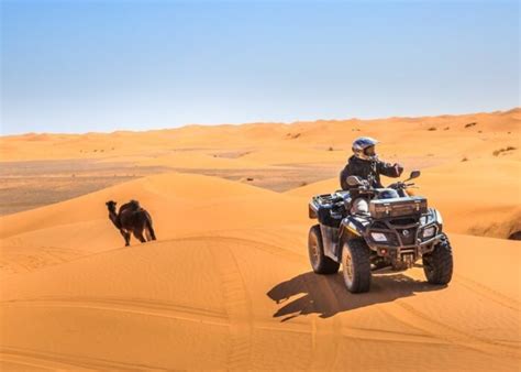 Dubai Dubai Desert Safaris COVID Safe 100 AED Desert Thrill