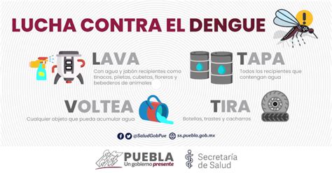 Reporta Salud 52 Nuevos Casos De Dengue En La Entidad