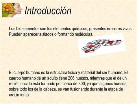 Introducci N Sobre Los Elementos Qu Micos En Los Seres Vivos Brainly Lat