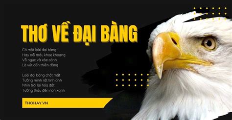 Th V I B Ng Danh Ng N Nh Ng C U N I Hay Nh T