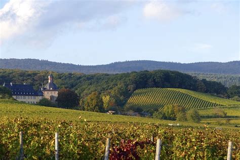Schloss Weingut Weinberg Kostenloses Foto Auf Pixabay
