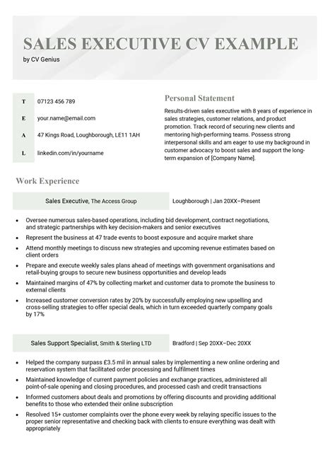 Sales Executive Cv Sample Skills