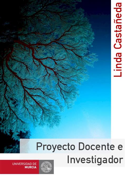 PDF Proyecto Docente E Investigador Digitum Um Es Proyecto