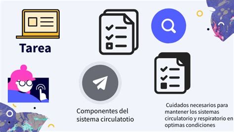 Cuidados Del Sistema Circulatorio Y Respiratorio