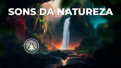 Sons Da Natureza Sons Da Natureza Para Relaxar Som Da Natureza