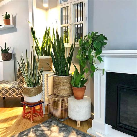 80 DIY Plant Stand Ideas To Fill Your Room With Greenery These Trendy