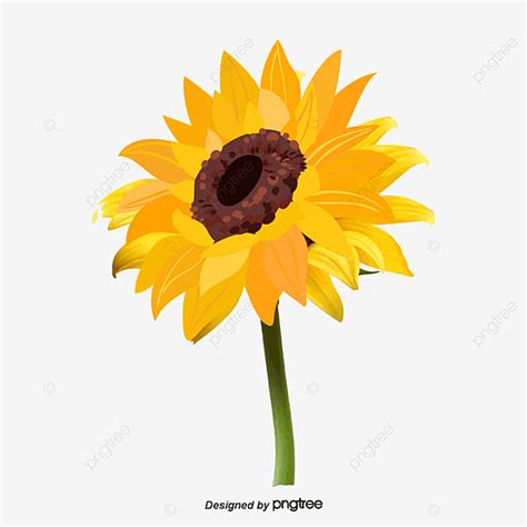 Vector De Girasol PNG Imágenes Prediseñadas De Girasol Girasol