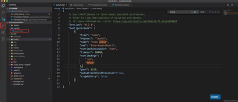 vscode debug模式配置 vscode debug 参数 csdn博客